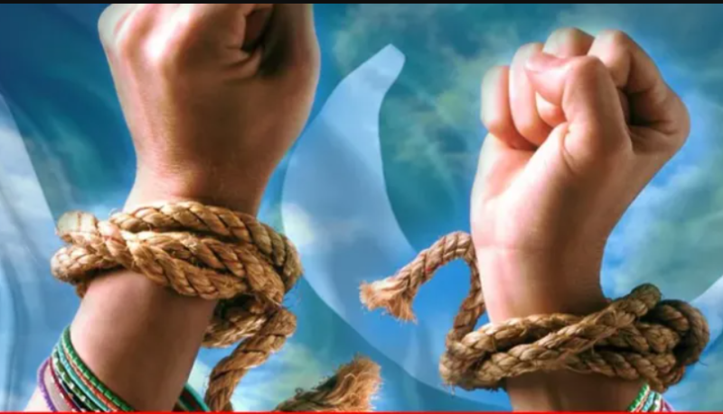 Gender Equality Protection Of Minorities Rights Pmln Manifesto